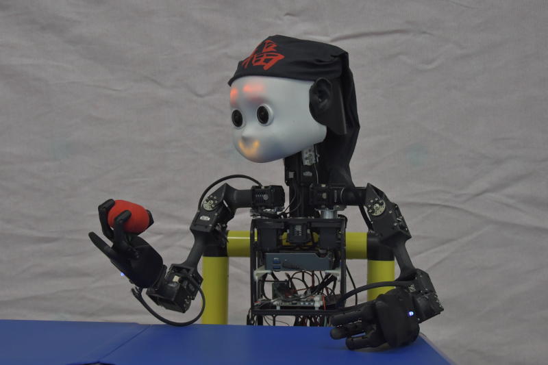 GitHub - knowledgetechnologyuhh/NICO-software: Software to run the NICO ...